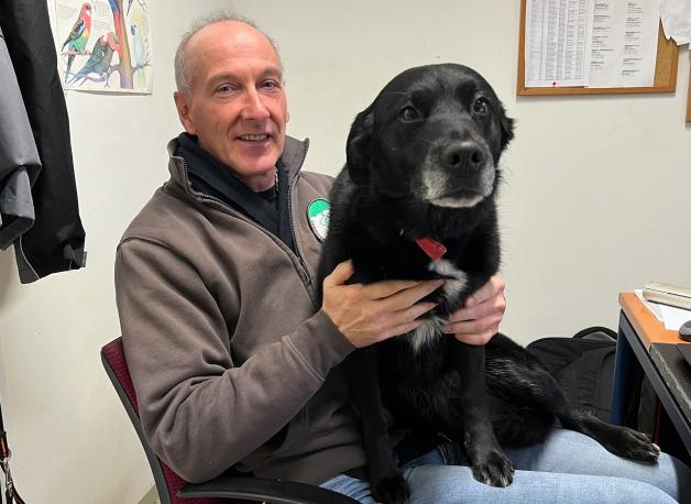 Tierheim Rendsburg: Kein Vermittlungsstopp vor Weihnachten