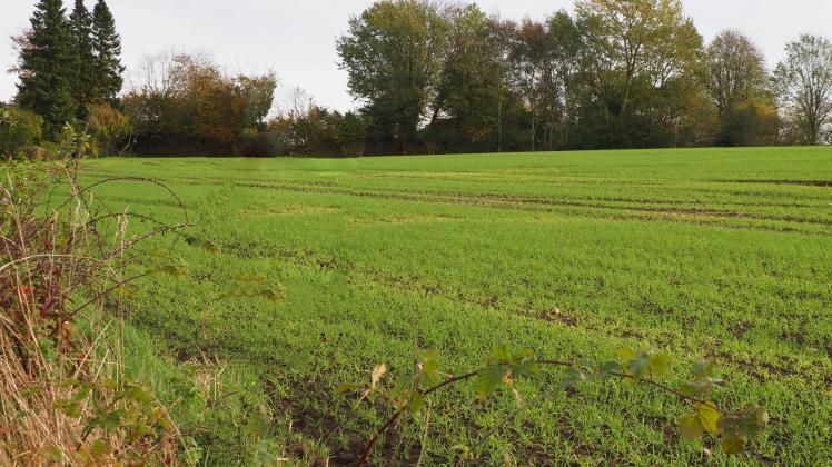 In Twedt entstehen zwölf neue Baugrundstücke