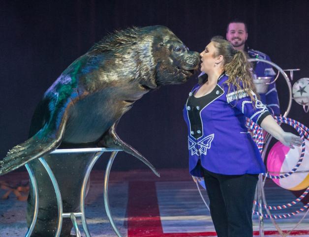 Familie Traber feiert Weihnachten in Itzehoe unterm Zirkuszelt
