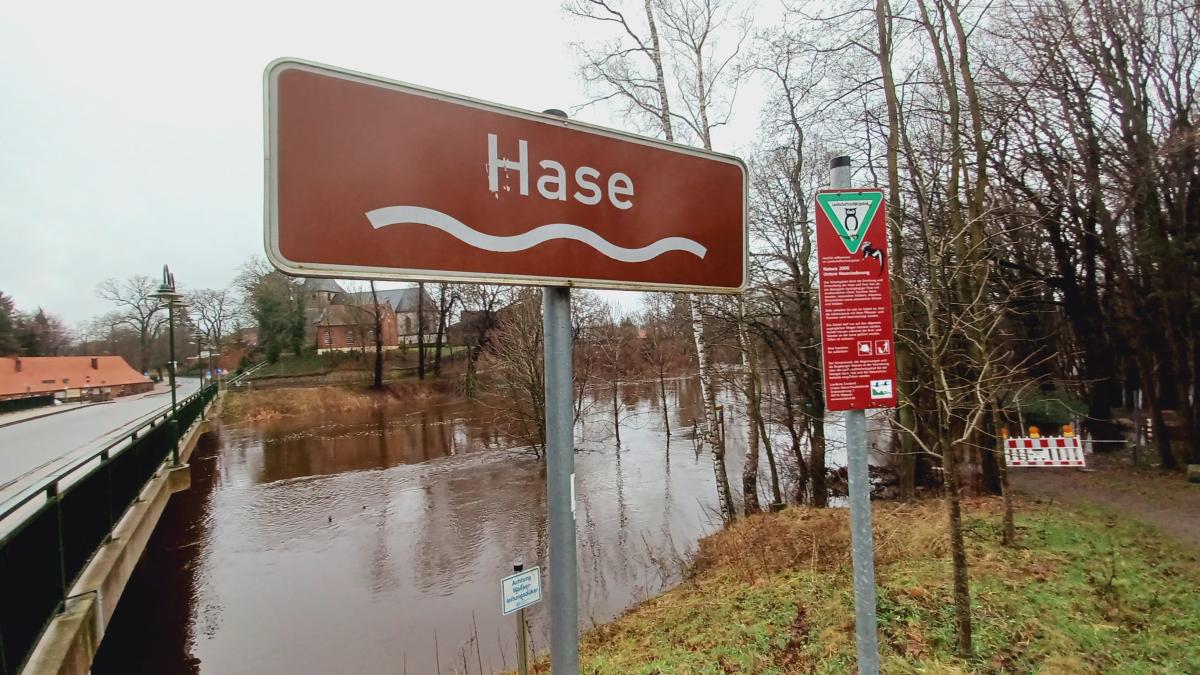 Pegelstand Hase Meppen