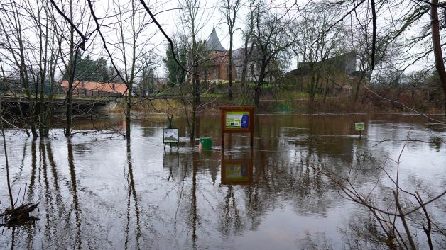 Pegelstand Hase Meppen