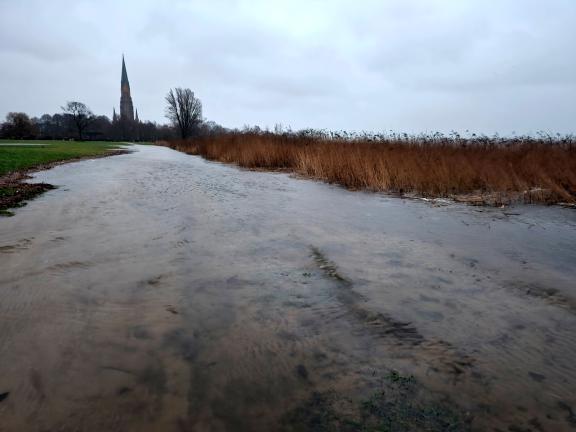 Schlei tritt über die Ufer: Das Hochwasser in Schleswig in Bildern