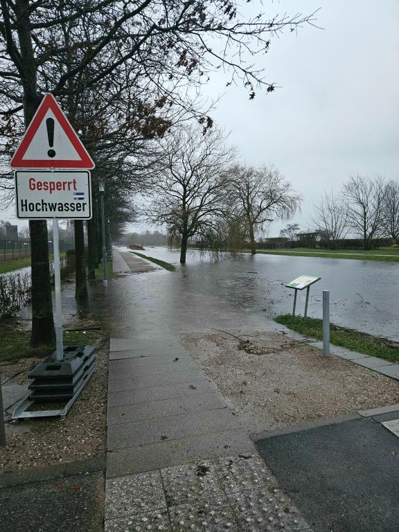 Schlei tritt über die Ufer: Das Hochwasser in Schleswig in Bildern
