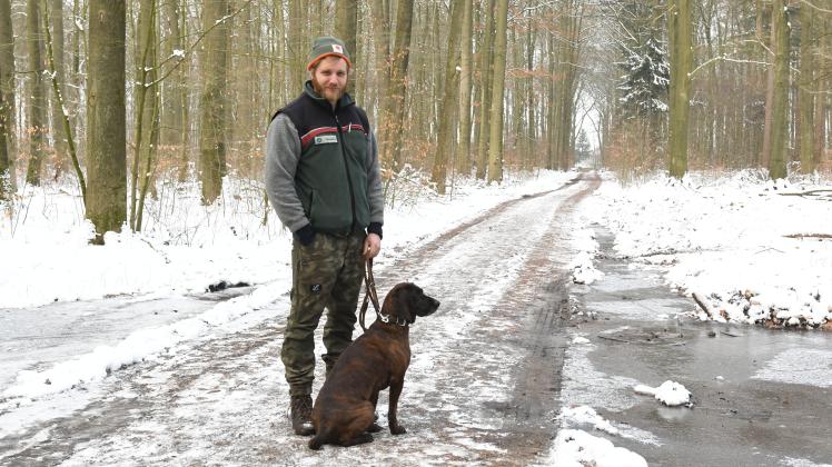 Landesforsten sanieren Wege im Rantzauer Wald