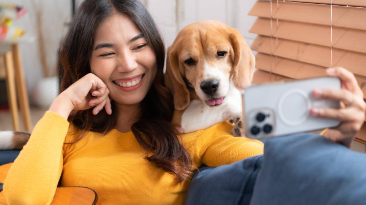 Lauter krumme Hunde? Der Hund und seine Redewendungen