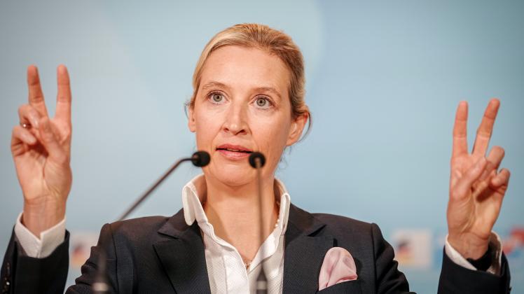 AfD: Weidel erwägt EU-Austritt Deutschlands als möglichen Weg