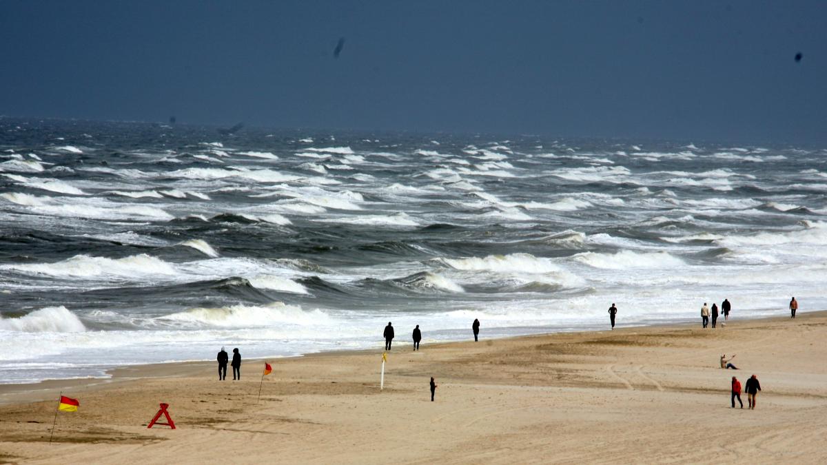 Kolumne: Warum ein Wal vor Sylt kein Strandgut ist