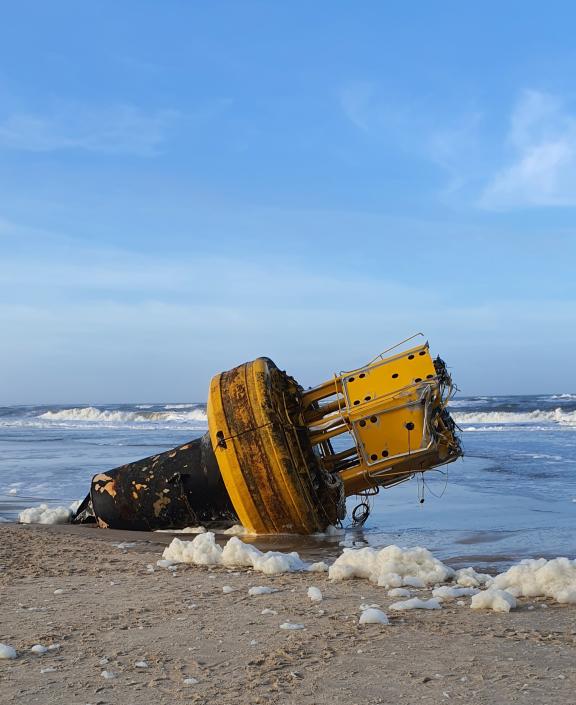 Seltsamer Fund auf Sylt - die spektakulärsten Fotos