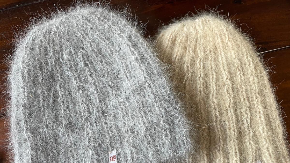 Stricken mit Wolle vom Hund: Chiengora-Technik, Kosten, Geruch