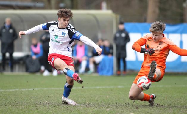 Bundesliga Nordost: SV Meppen verliert trotz Führung beim HSV