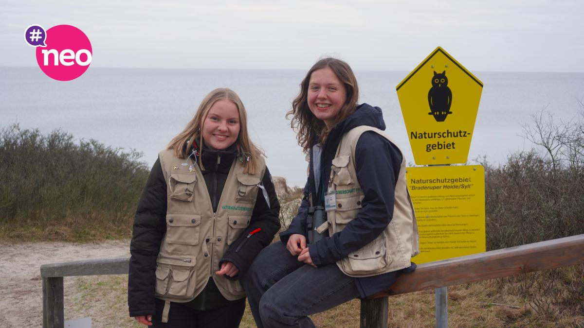 Das erleben junge Menschen im FÖJ auf Sylt
