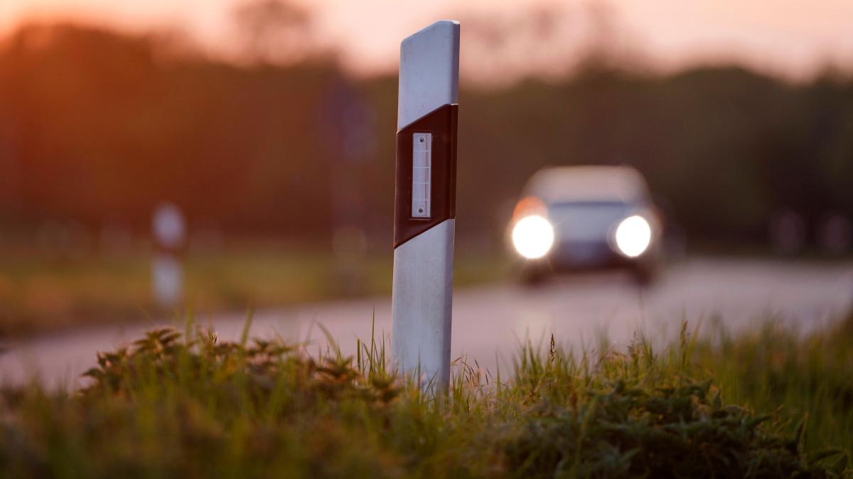 Ortsumgehung für Hammoor – Millionen-Entschädigung für Landwirte