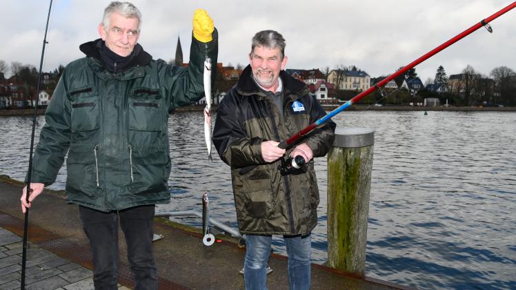 Eckernförder Hafen: Die ersten Heringe 2024 sind da