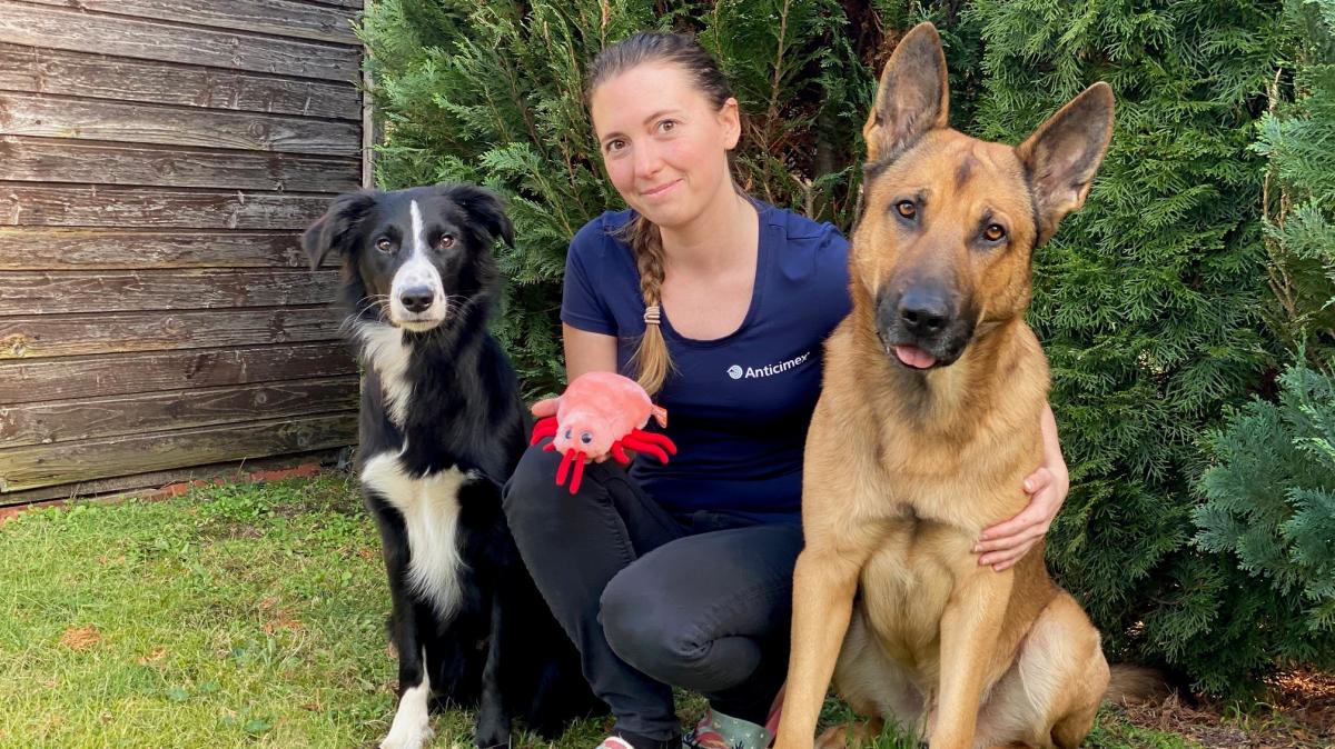 Bettwanzen erkennen: So arbeitet ein Spürhund aus Lemförde