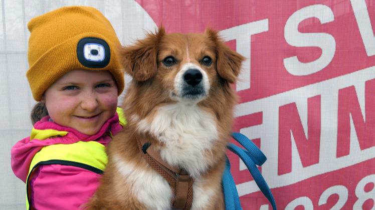 Wie Hund Noah aus Rumänien in Venne ein Zuhause fand
