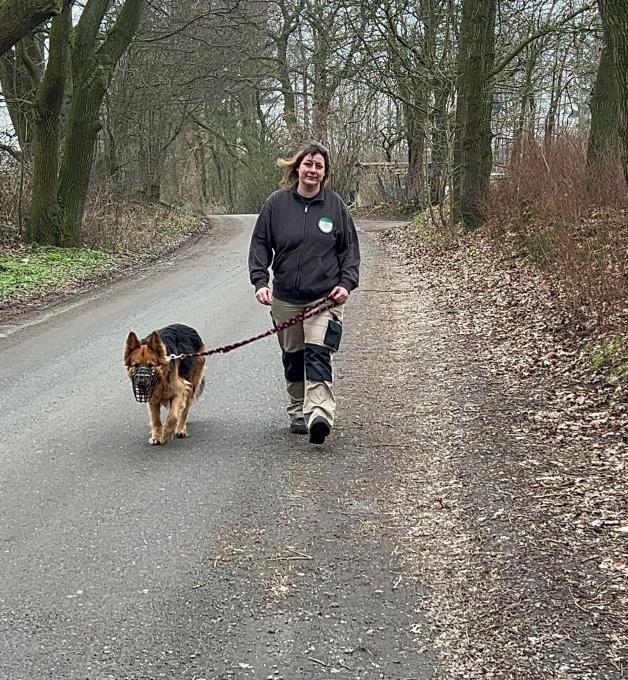 Tierheim Rendsburg: Vorteile der Adoption alter Hunde und Katzen