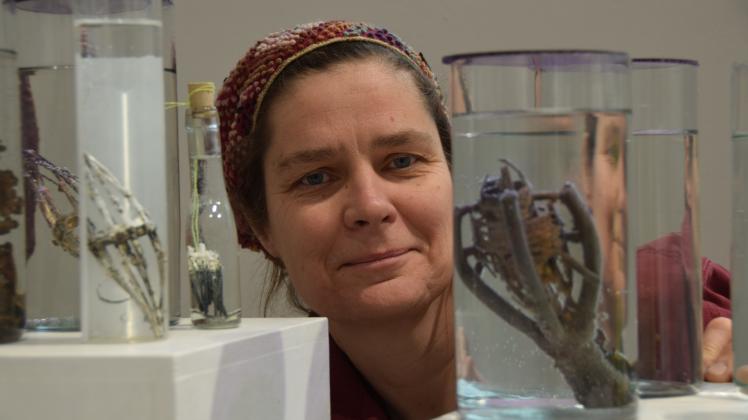 Ausstellung zu Trophäen Eckernförde: Diese Kunst ist politisch