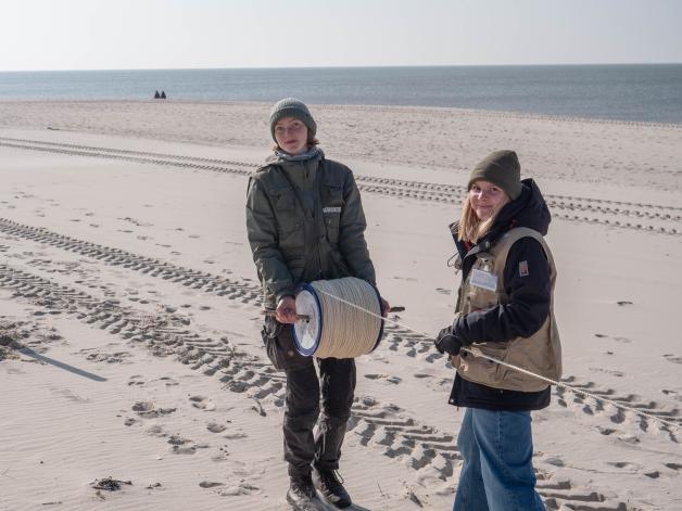 Frühjahr auf Sylt: Wie Strandinseln Vögel und Pflanzen schützen