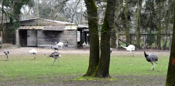 Saisonstart im Wildpark Ostrittrum: Aktuelle Fotos von den Tieren