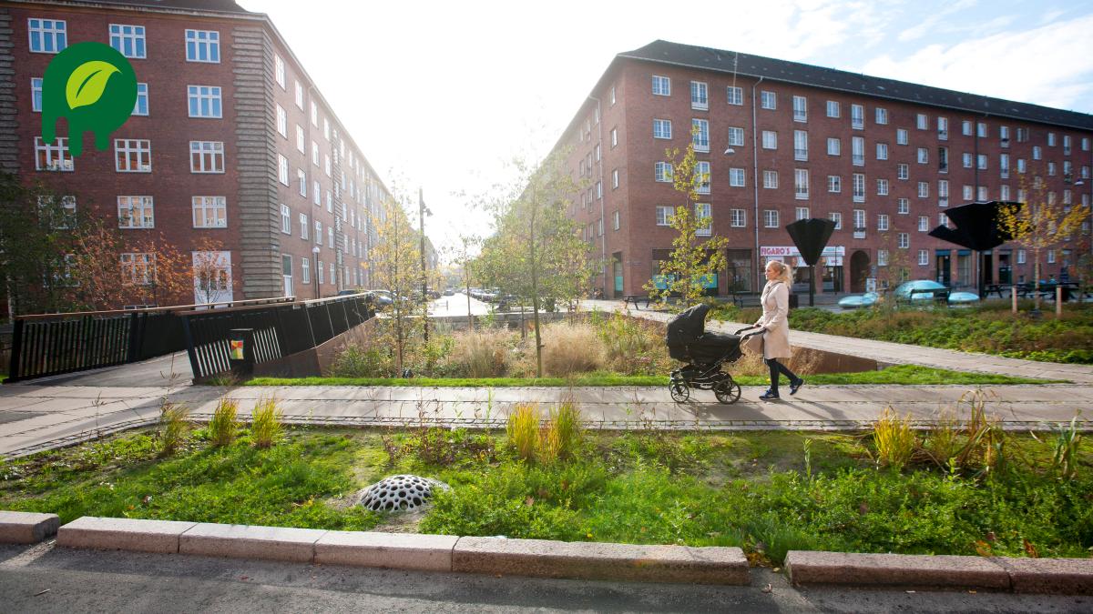 Klimaanpassung: Was man vom Tåsinge Plads Kopenhagen lernen kann
