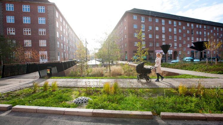 Klimaanpassung: Was man vom Tåsinge Plads Kopenhagen lernen kann