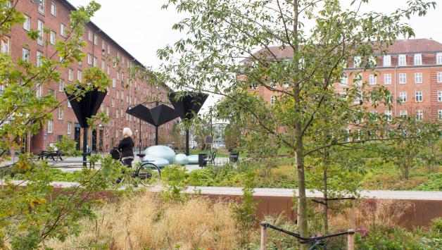 Klimaanpassung: Was man vom Tåsinge Plads Kopenhagen lernen kann