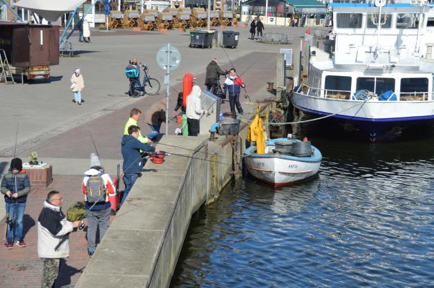 Aktuelle Heringsfänge Kappeln – Aktuelle Heringsfänge – KHVGE