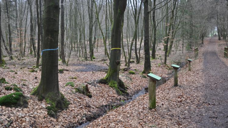 Friedwald Bramsche: Infos zu Kosten, Gräbern und Nutzungsdauer