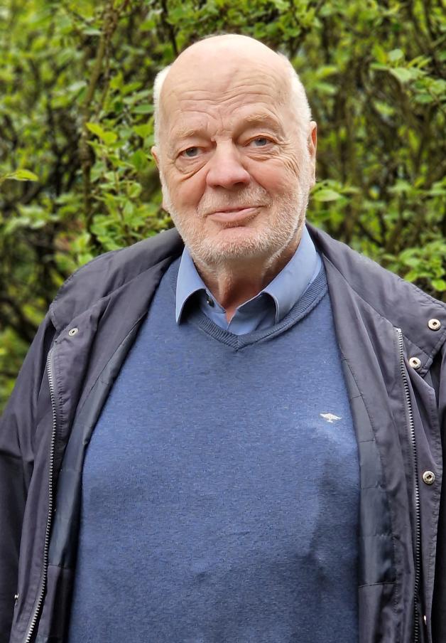 Streit um Kunstinstallation: Pinnebergs Baumexperte widerspricht