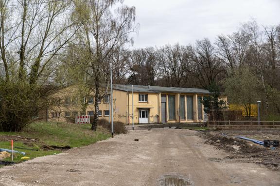 In Bildern: Rundgang über den Limberg