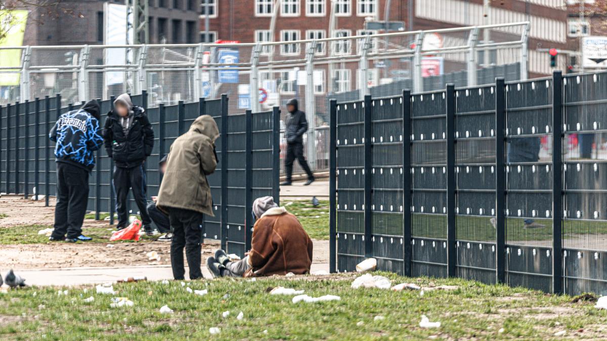 Neugestaltung des Parks vor Drob Inn in Hamburg hat begonnen | SHZ