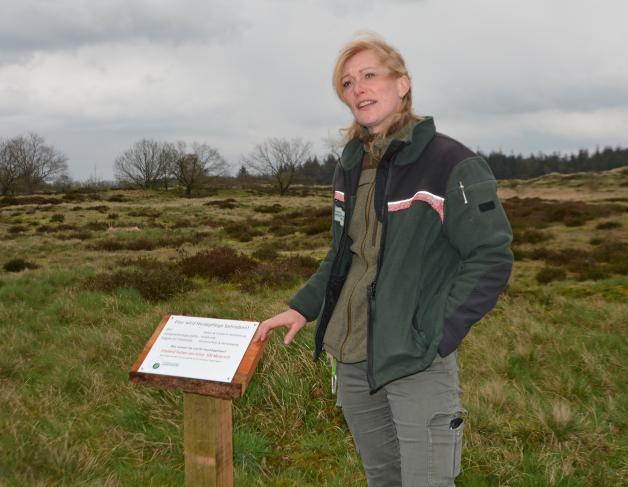 Naturschutz: Ziegen sind ideal im Kampf gegen die Traubenkirsche