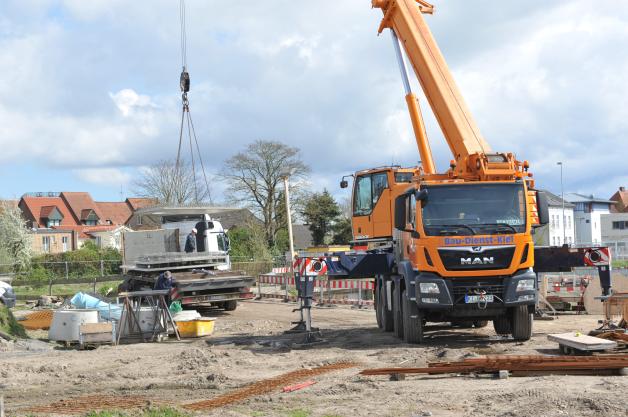 Einzigartiges Fledermausquartier bekommt in Eckernförde sein Dach