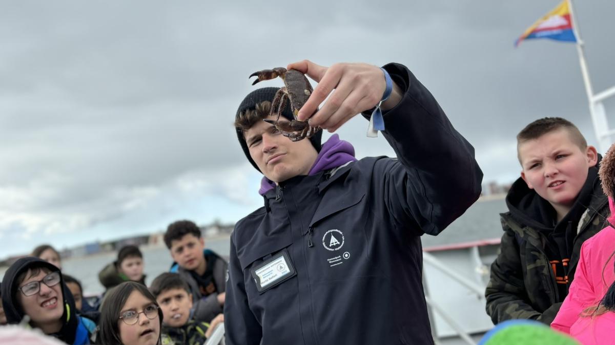 Faszination Nordsee: Mit der Adler Rüm Hart von Föhr auf die See