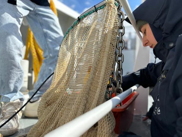 Faszination Nordsee: Mit der Adler Rüm Hart von Föhr auf die See