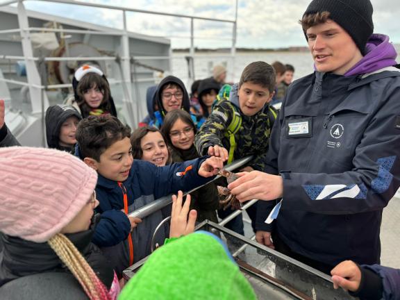 Faszination Nordsee: Mit der Adler Rüm Hart von Föhr auf die See