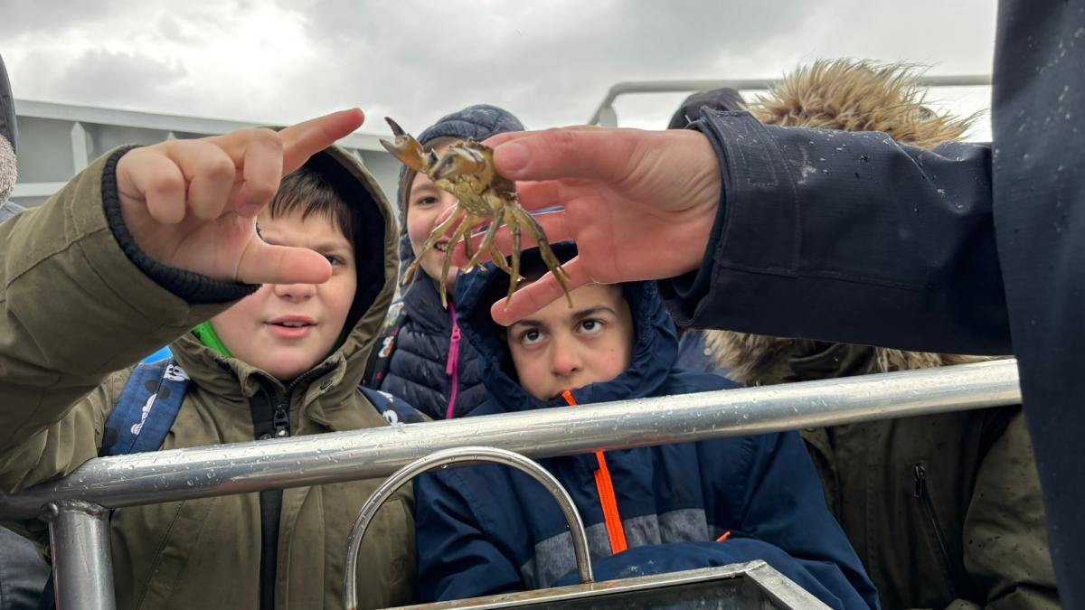 Faszination Nordsee: Mit der Adler Rüm Hart von Föhr auf die See