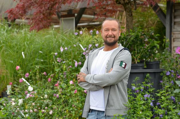 Gartenexperten Rendsburg: Diese Pflanzen sind leicht zu pflegen