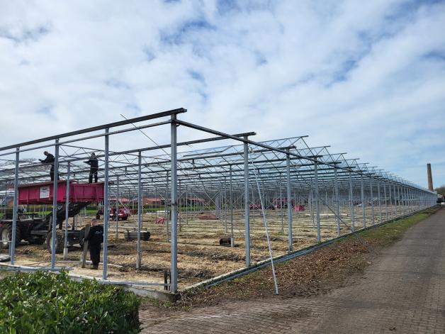 „Projekt der Superlative“: Bunte baut Wohnungen in Papenburg