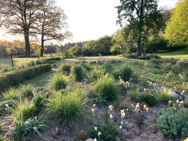 Nach der Pflanzung: Wie sich meine Sandbeete entwickelt haben