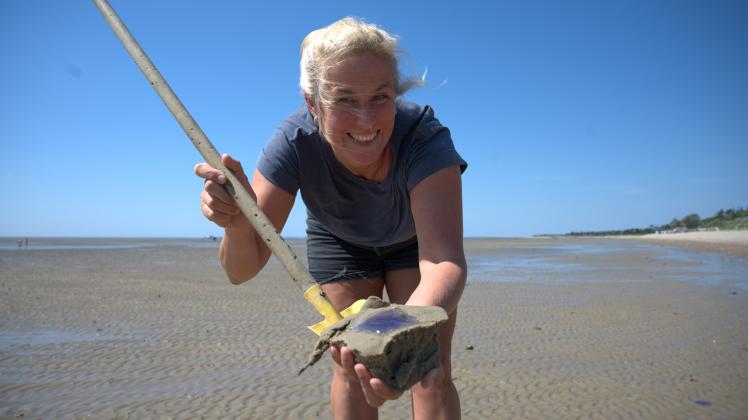 Föhr und Sylt: Wie gefährlich sind Quallen für Strandgäste?