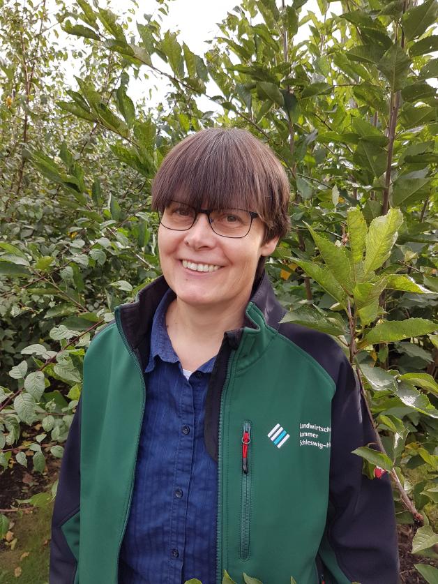 Erdbeeren im eigenen Garten: Experten-Tipps zu Anbau und Pflege