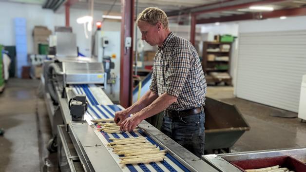 Nach der Ernte vom Spargel muss das Gemüse aufbereitet werden.