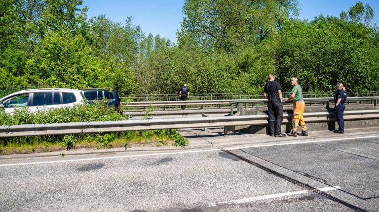 Freilaufende Rinder: Polizei sperrt Osttangente in Flensburg