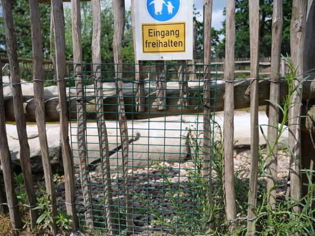 Zoo Osnabrück: Die fünf wichtigsten Benimmregeln für Besucher