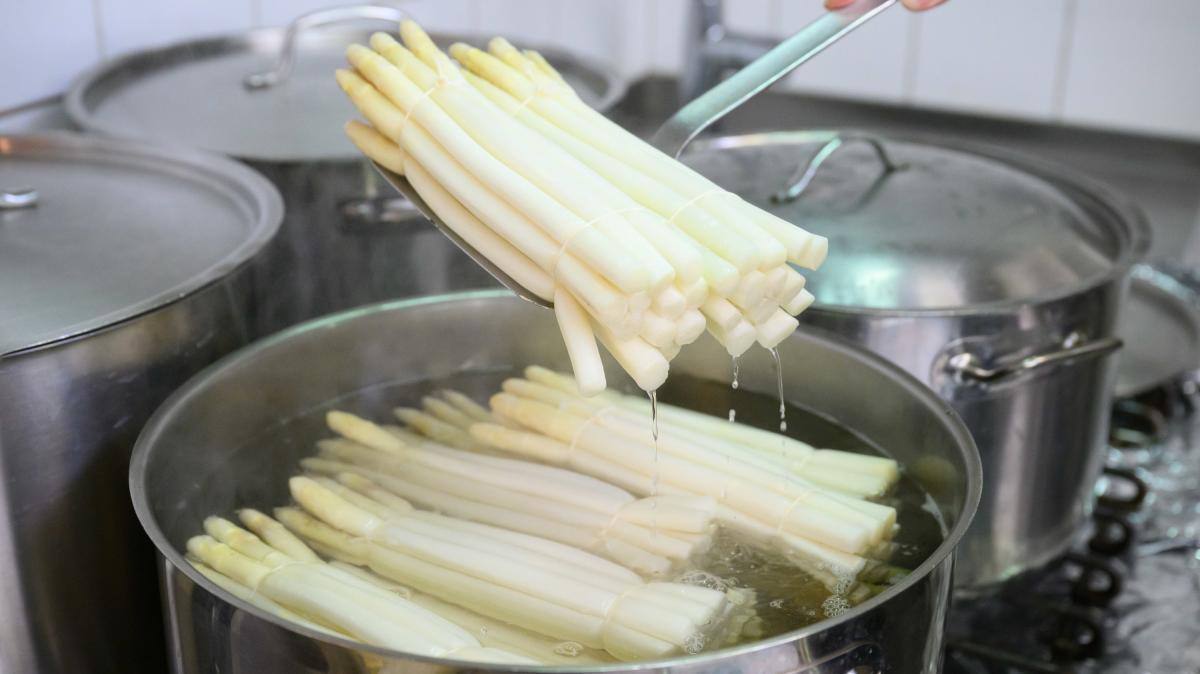 Die Spargelsaison 2024 läuft: Wie gesund ist das beliebte Gemüse?