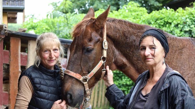 Georgsmarienhütte Brückenhof in Not: Gabriele Meyer kümmert sich