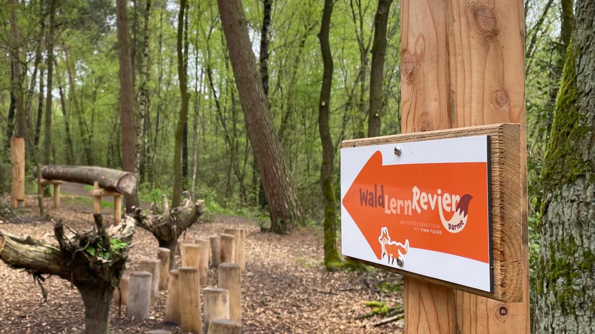 Lingen: Waldlehrpfad in Darme 2024 erneuert