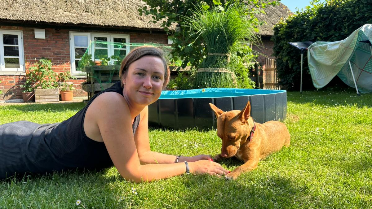 Tierschutz auf Föhr: Hündin Ida findet ihr Glück auf der Insel