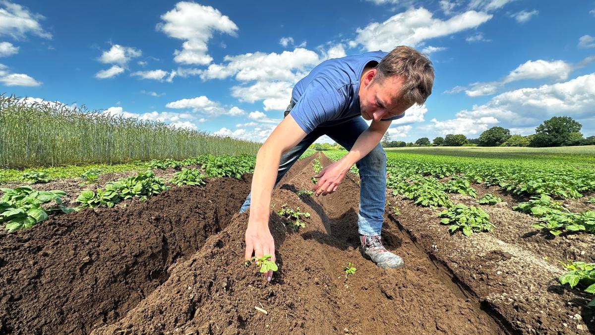 Bistensee: Wie Henning Bannick seinen Hof auf Bio umstellt